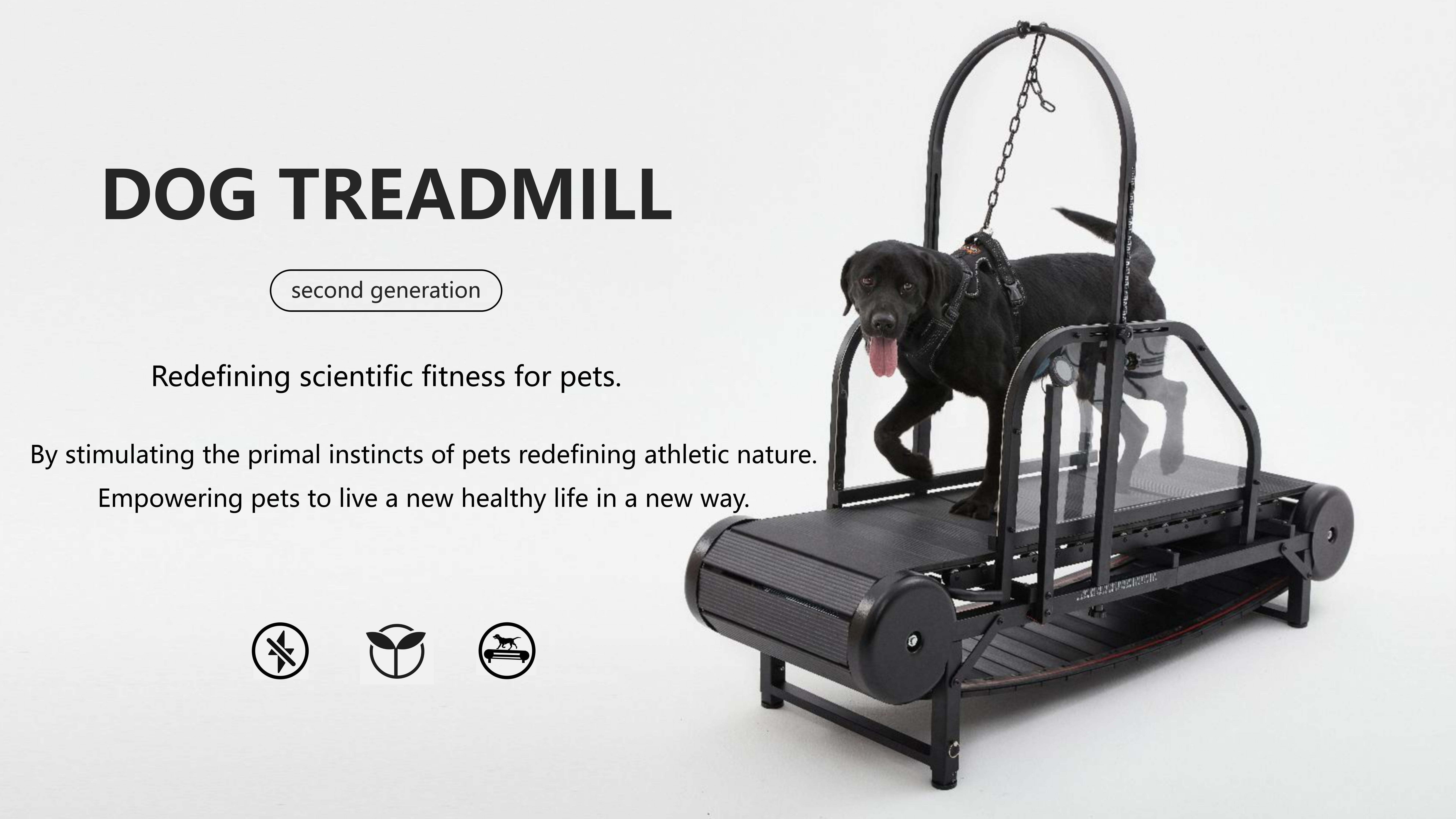 Best Dog Treadmill for Sale: Furtent's Top-Quality Running Machine for ...