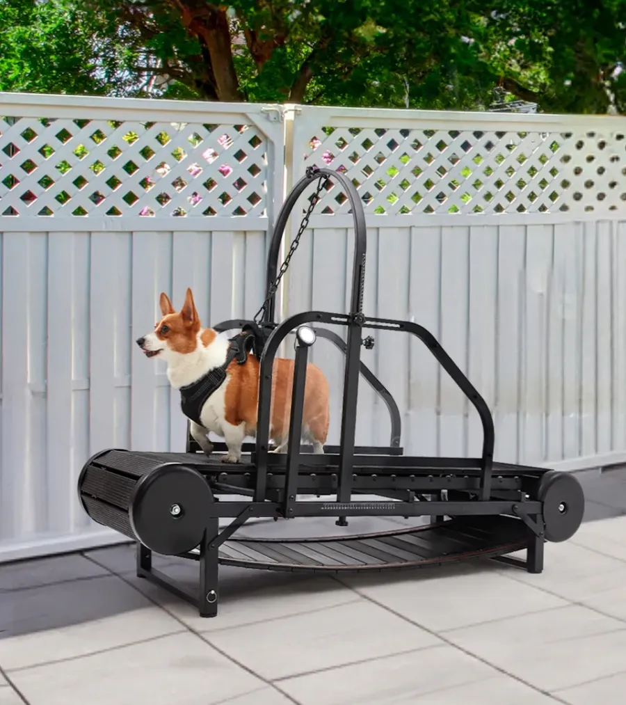 Ronzeil Dog Treadmill | Dog Running Machine | Dog Treadmill For Sale ...