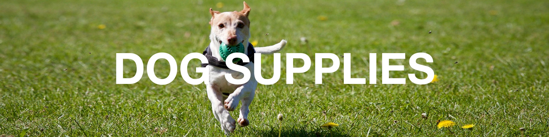 Custom Dog Product Manufacturer | Wholesale Dog Supplies Bulk - Furvorite