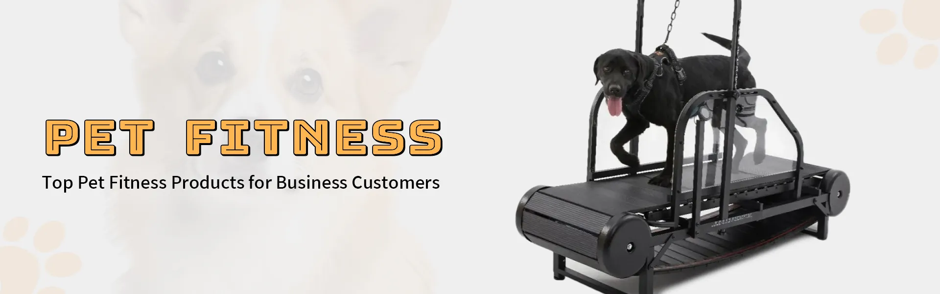 Wholesale Pet Fitness Equipment | Furvorite - Exercise Gear for Pets