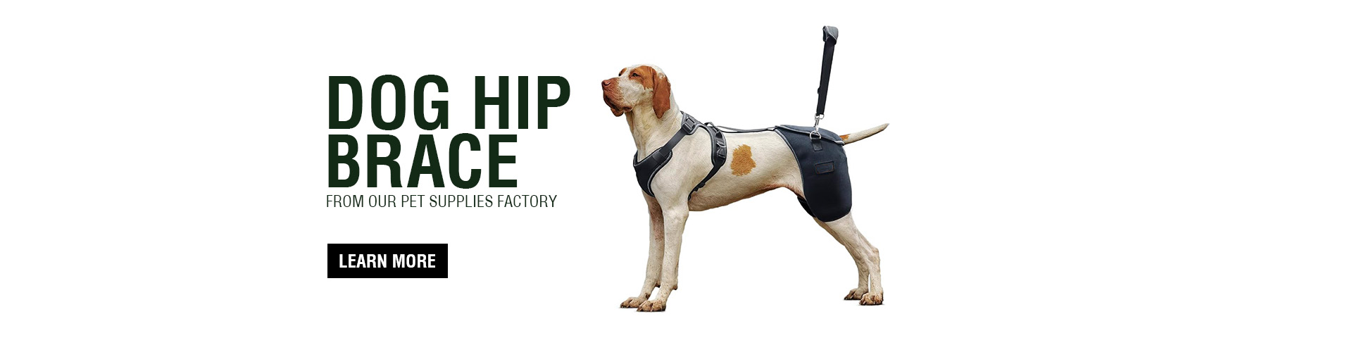 OEM Canine Hip Braces | Custom Best Hip Support Brace for Dogs