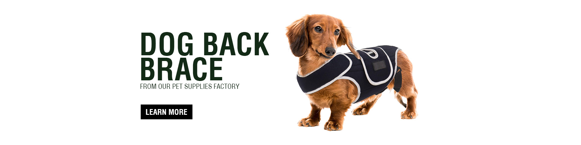 Wholesale Canine Back Braces | Custom Dog Back Support Harness Supplier