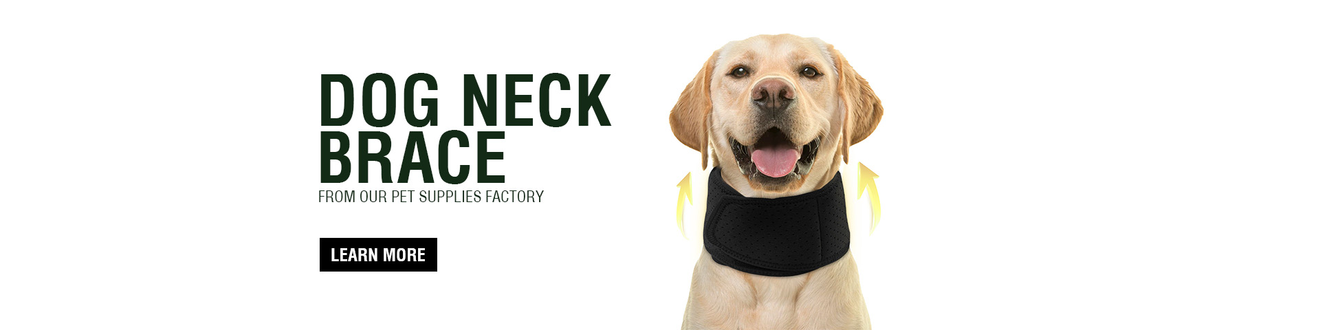Wholesale Dog Neck Braces | OEM Canine Cervical Collars - Furvorite