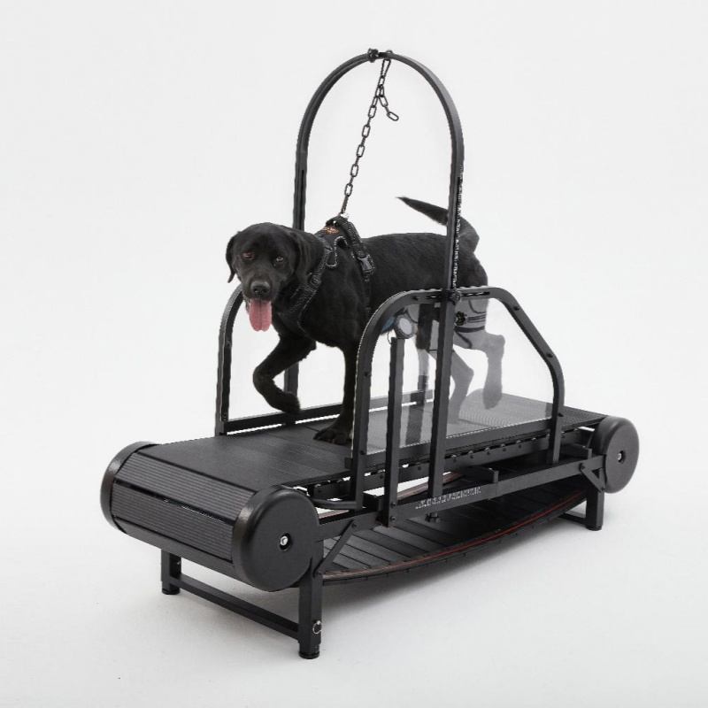 Ensure Your Dog Stays Fit with Furvorite Wholesale Treadmill for Dogs