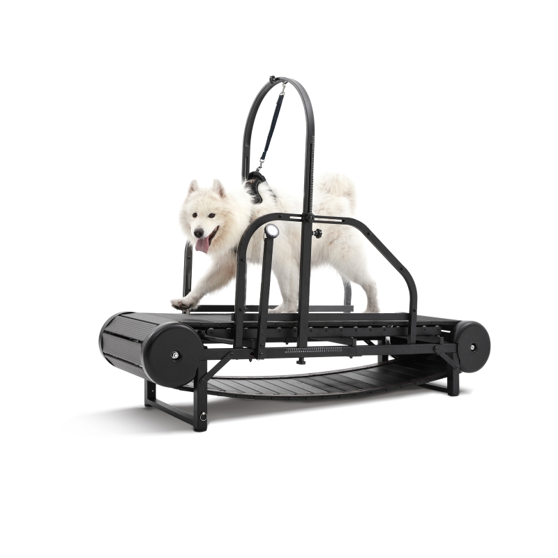 Pet adjustable and easy to control treadmill manufacturer for fitness ...
