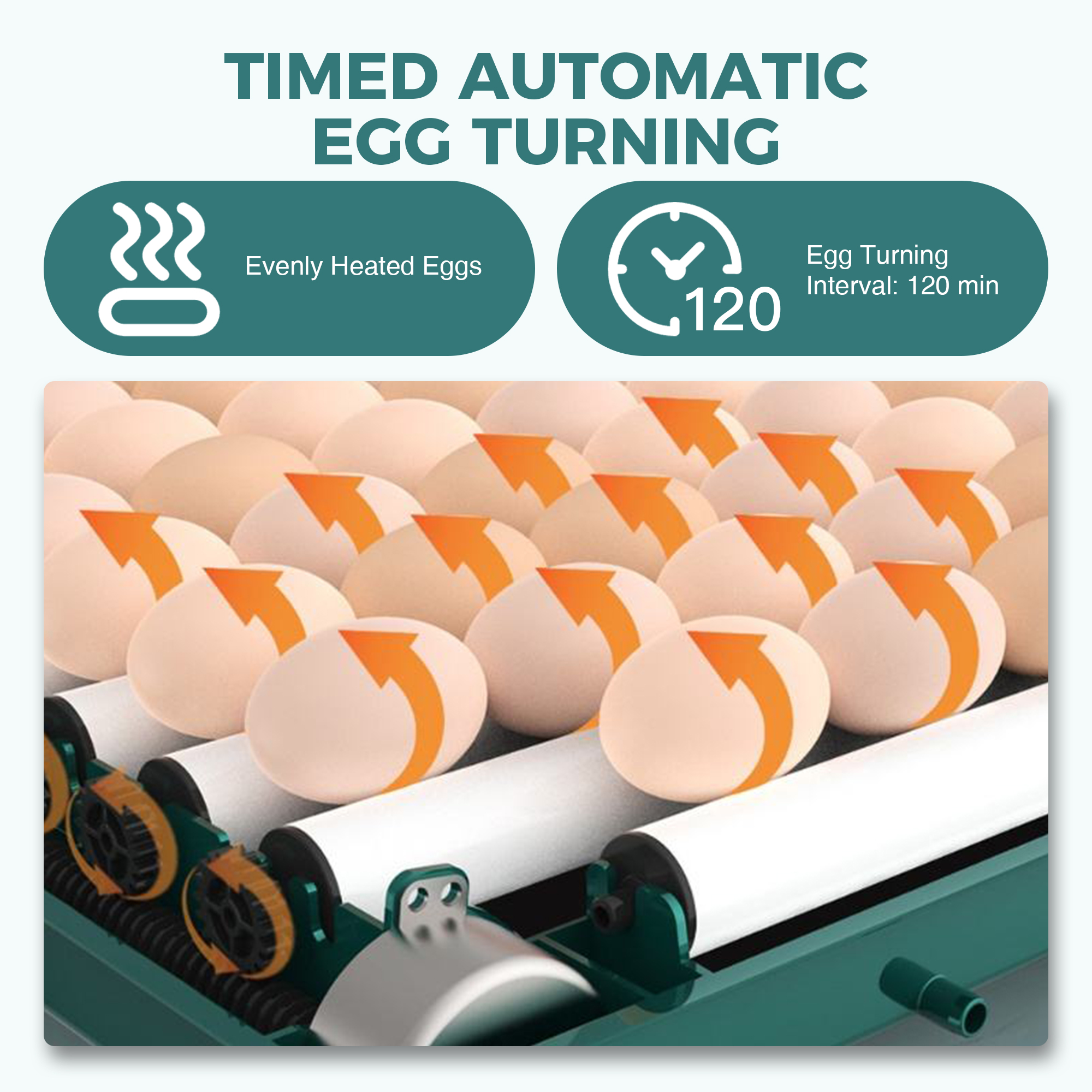 Duck Egg Incubator: ±0.1°C Precision, Dual Motor Power Backup|EGGBLOOM