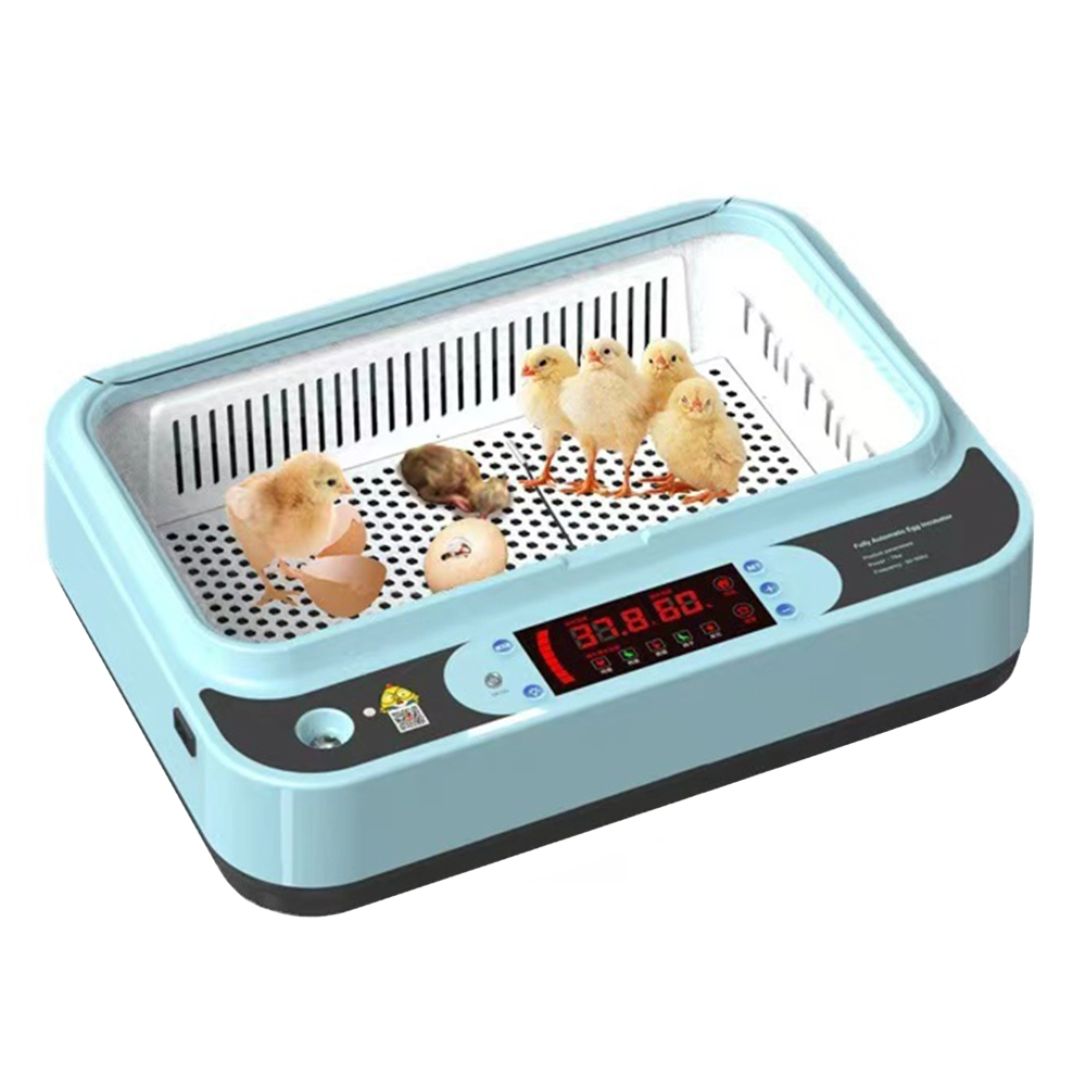 Single Layer Egg Incubator - Stop Temperature Swings Auto Water & View ...
