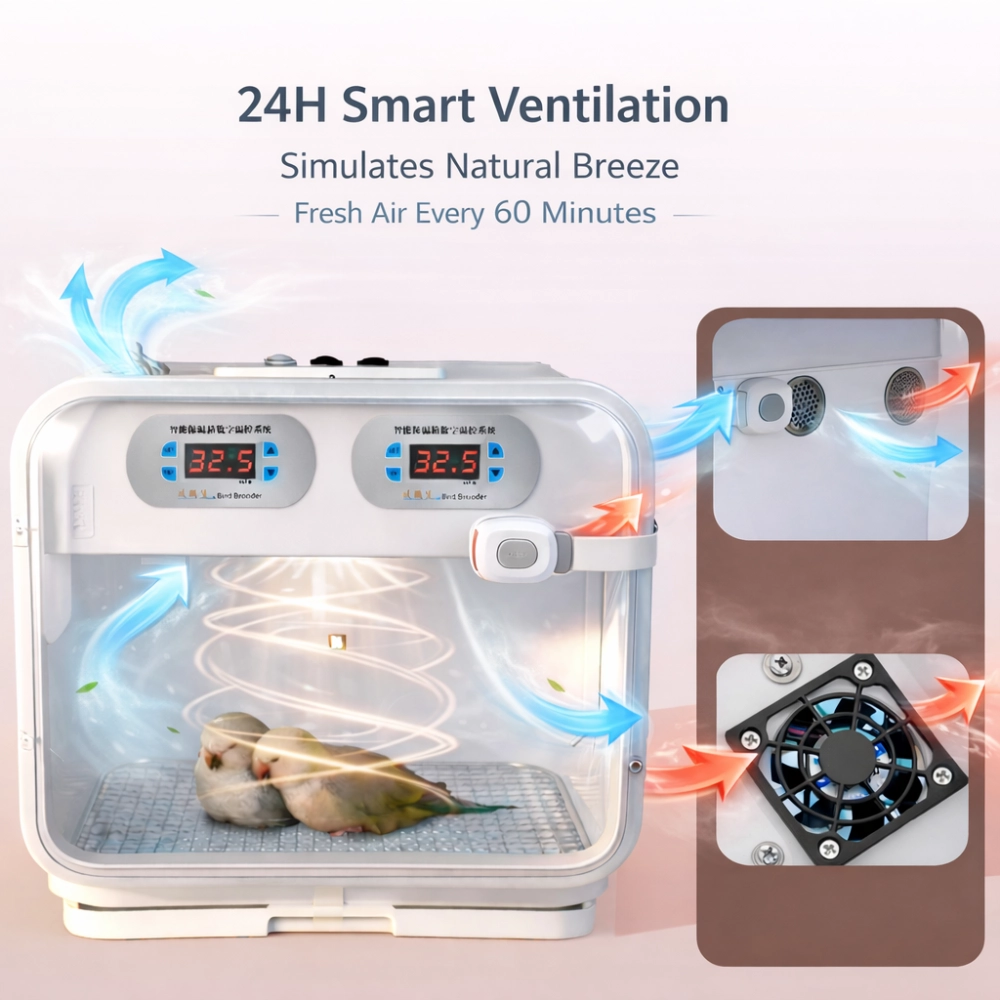 Digital Parrot Brooder Box - Temperature Controlled Bird Recovery Unit