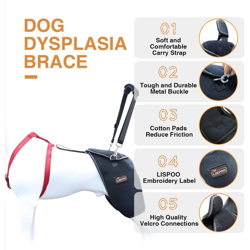Lispoo Dog Hip Dysplasia Brace with Lift Handle